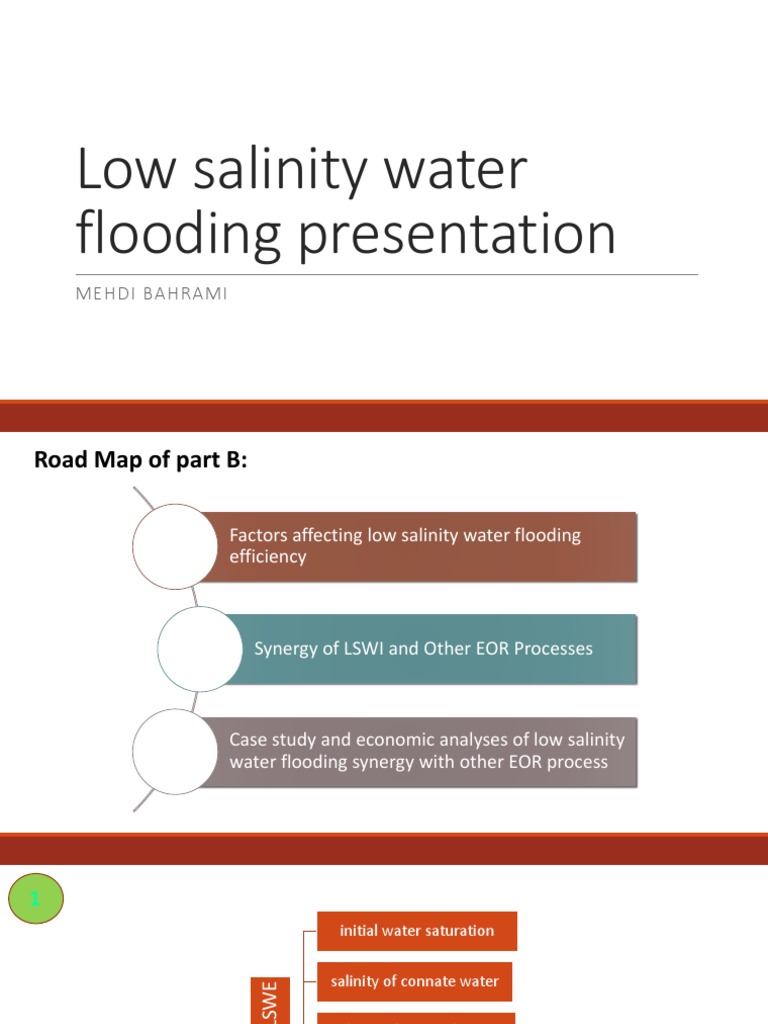Low Salinity Water Flooding Insights | PDF | Technology & Engineering