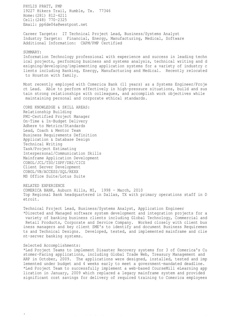 Technical Project Lead or IT Project Lead or Project Lead or IT | PDF ...