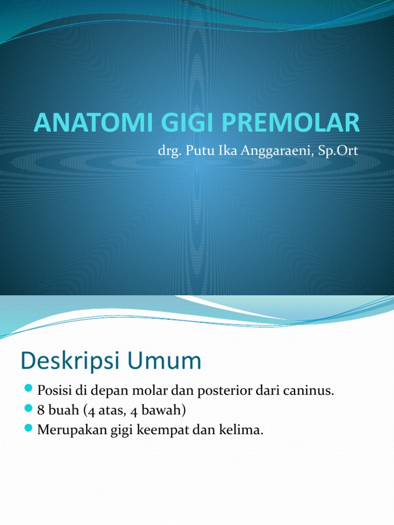 Lecture 9 - Anatomi Gigi Premolar | PDF