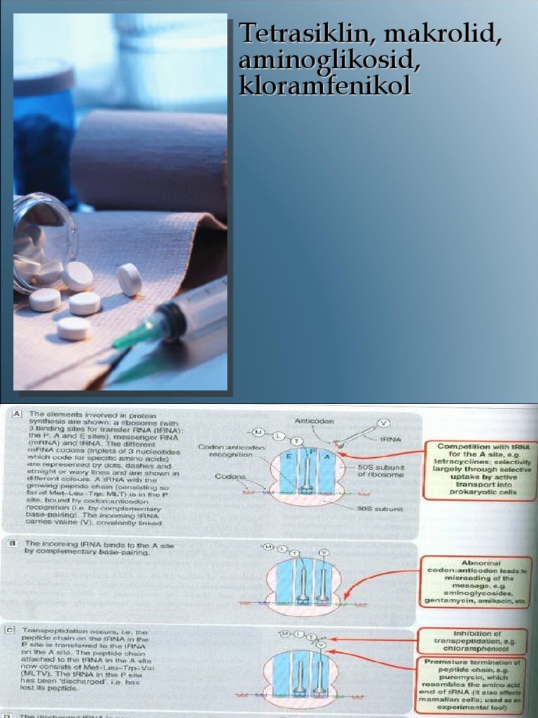 Tetra, Makrolid, Aminoglikosid | PDF | Clinical Medicine | Antibiotics