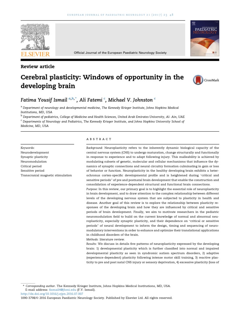 Cerebral Plasticity: Windows of Opportunity in The Developing Brain ...