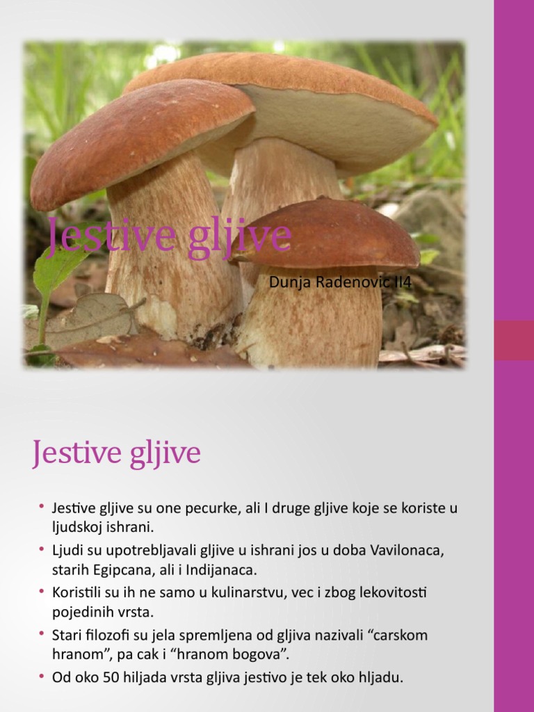 Jestive Gljive | PDF