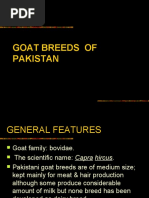 gAUSHALA PROJECT REPORT | PDF | Cattle | Biogas