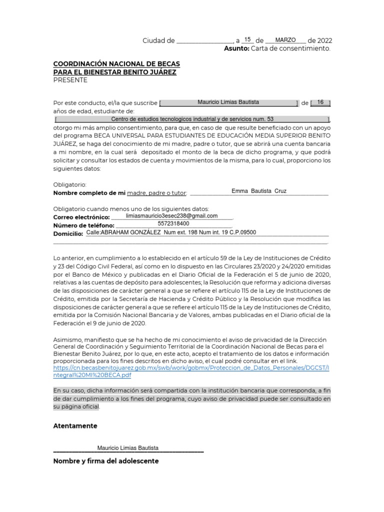 Carta Consentimiento Libm060212hmcmtra6 | PDF | Bancos | México