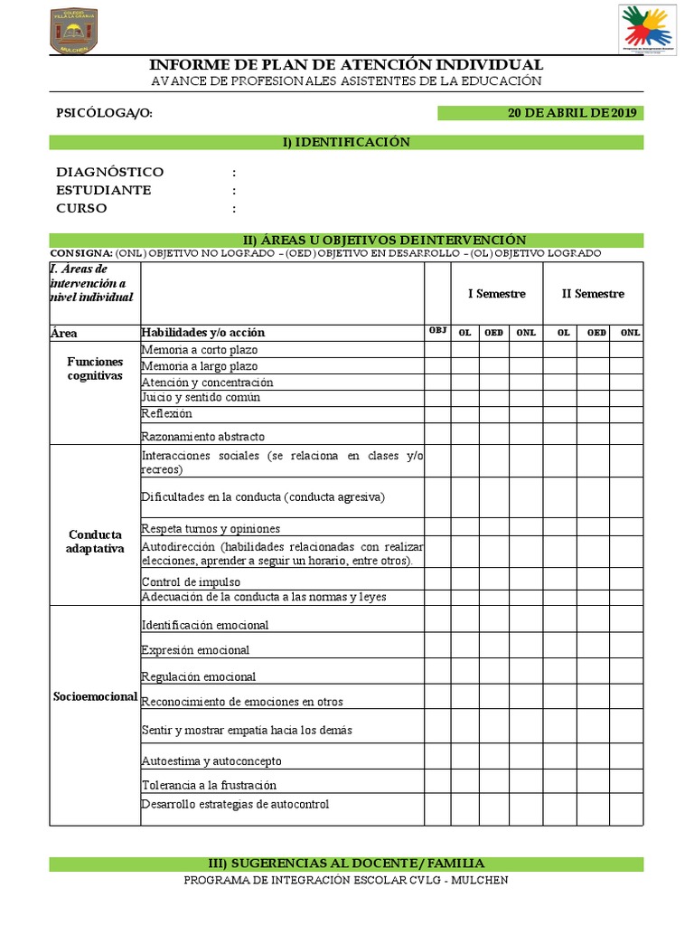 3 Formato Pae de Plan de Atención Individual | PDF