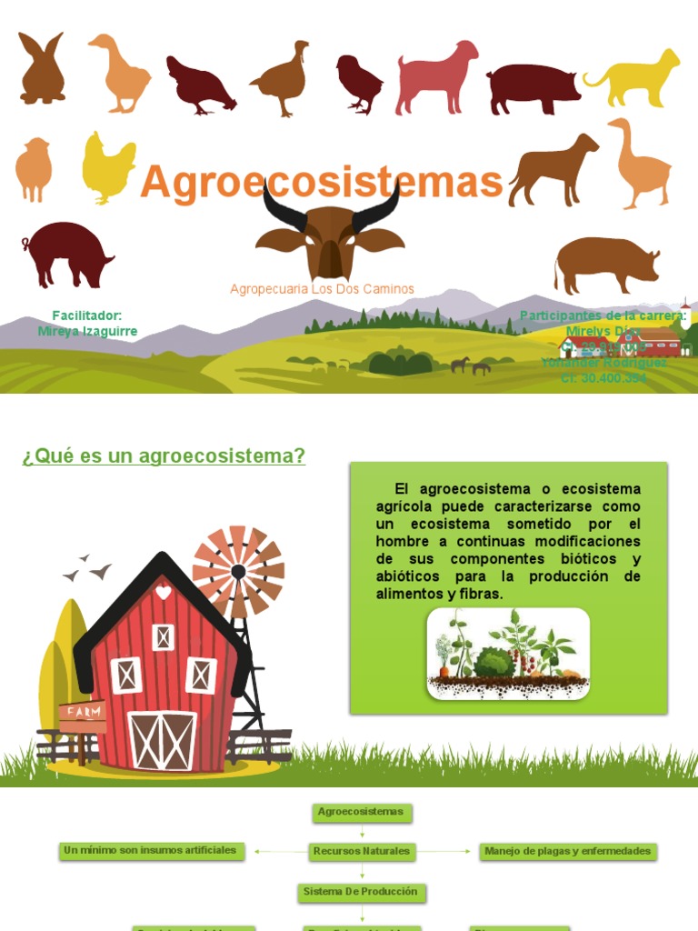 Esquema de Agroecosistemas y Ciclos | PDF | Ciencias de la Tierra ...
