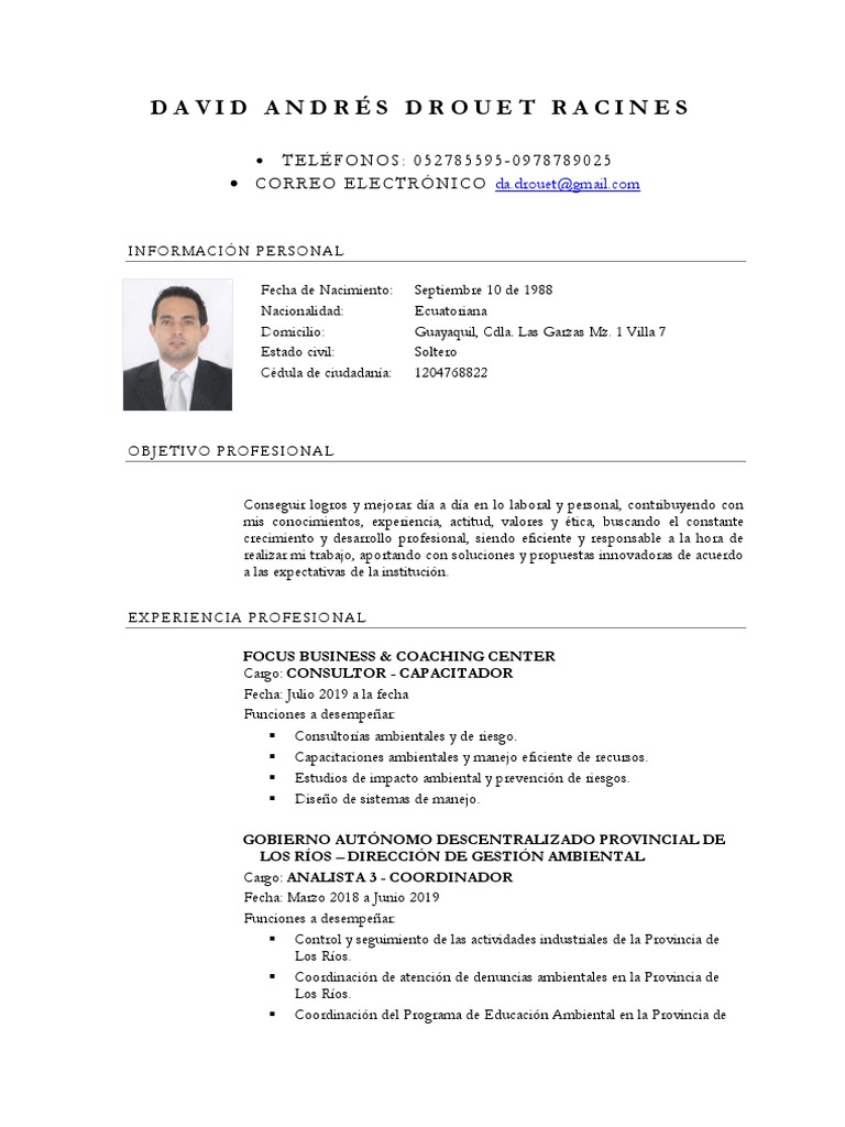 CV de David Andrés Drouet Racines | PDF | Microsoft | America latina