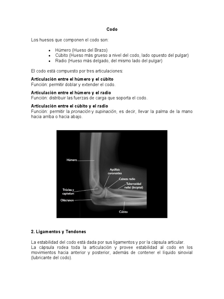 Anatomía del Codo en Niños | PDF