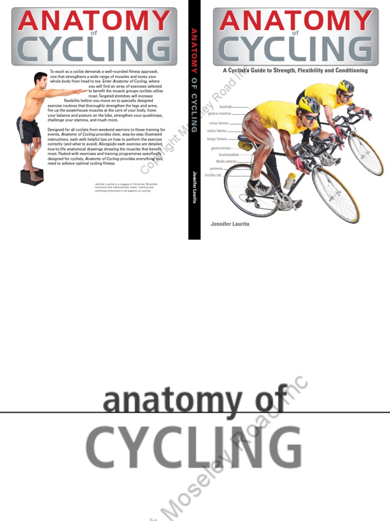 Anatomy of Cycling | Download Free PDF | Skeletal Muscle