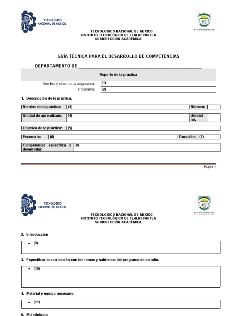 Formato de Practicas | PDF