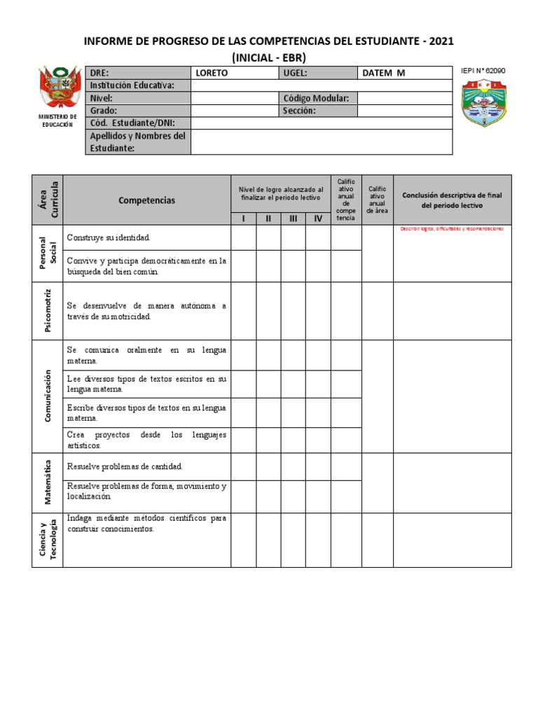INFORME DE PROGRESO - Inicial 2021 | PDF | Plan de estudios | Evaluación