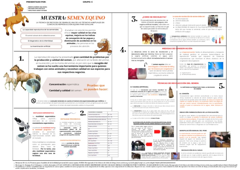 Muestra - Semen Equino | PDF | Semen | Condón