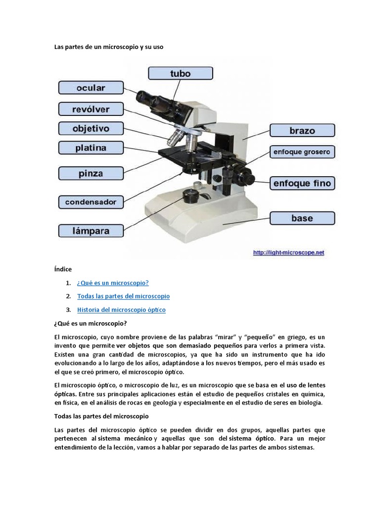 Hoja De Trabajo Sobre Las Partes De Un Microscopio Y Sus Funciones