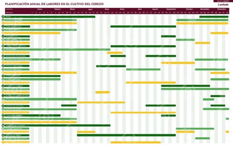 Carta Gantt Smartcherry | PDF