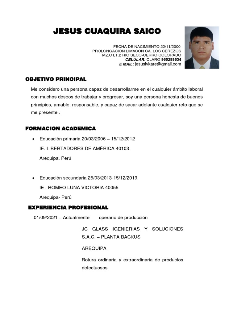 Jesus Cuaquira Saico CV | PDF