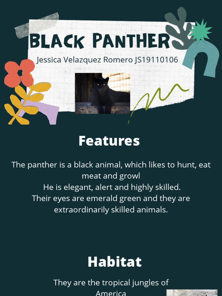 Black Panther | PDF