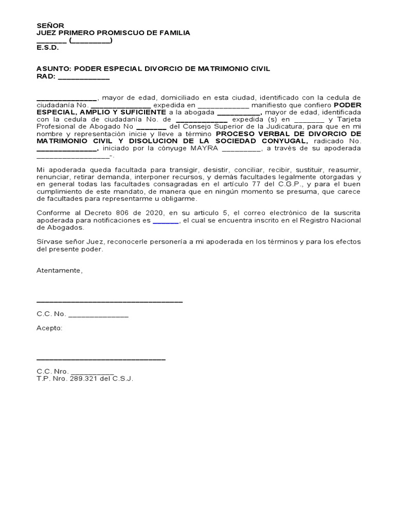 Poder Divorcio Juzgado Minuta | PDF