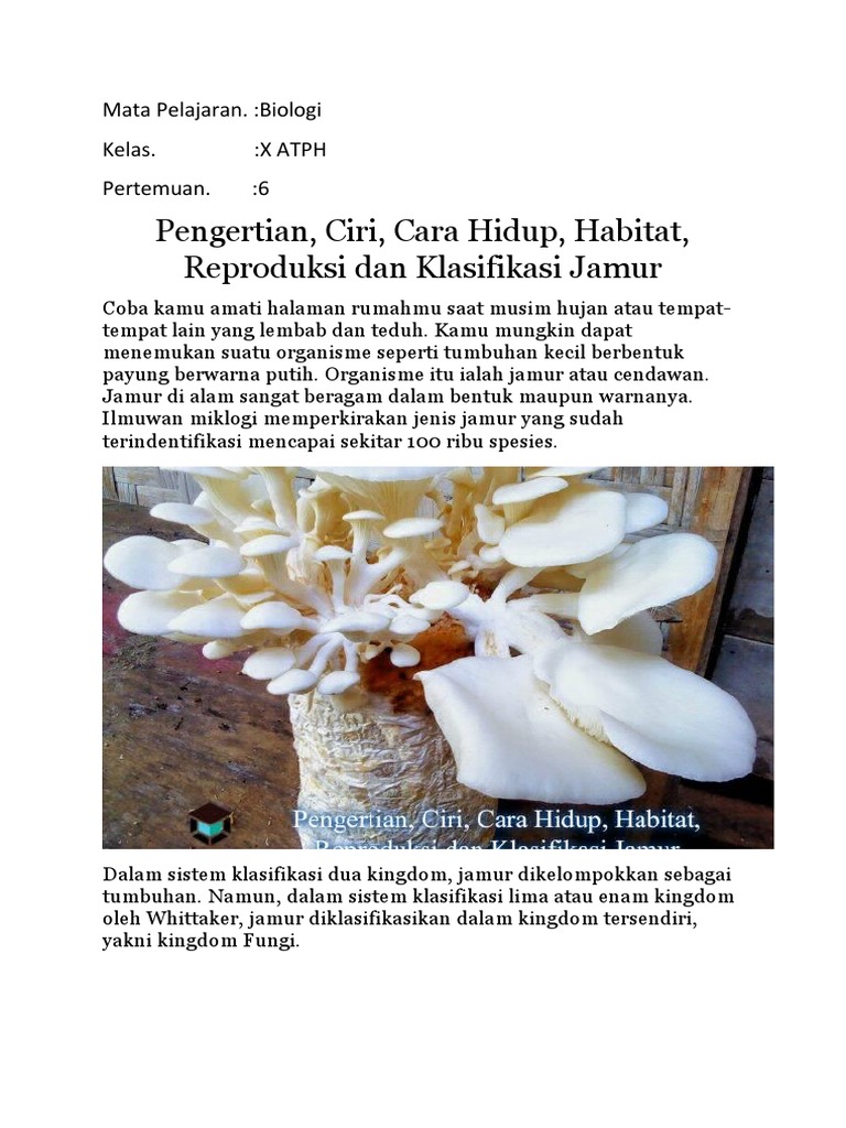 Materi Biologi Jamur | PDF | Sains & Matematika