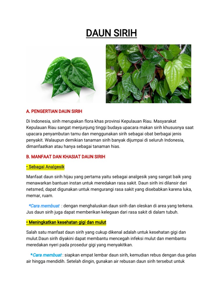 Daun Sirih | PDF