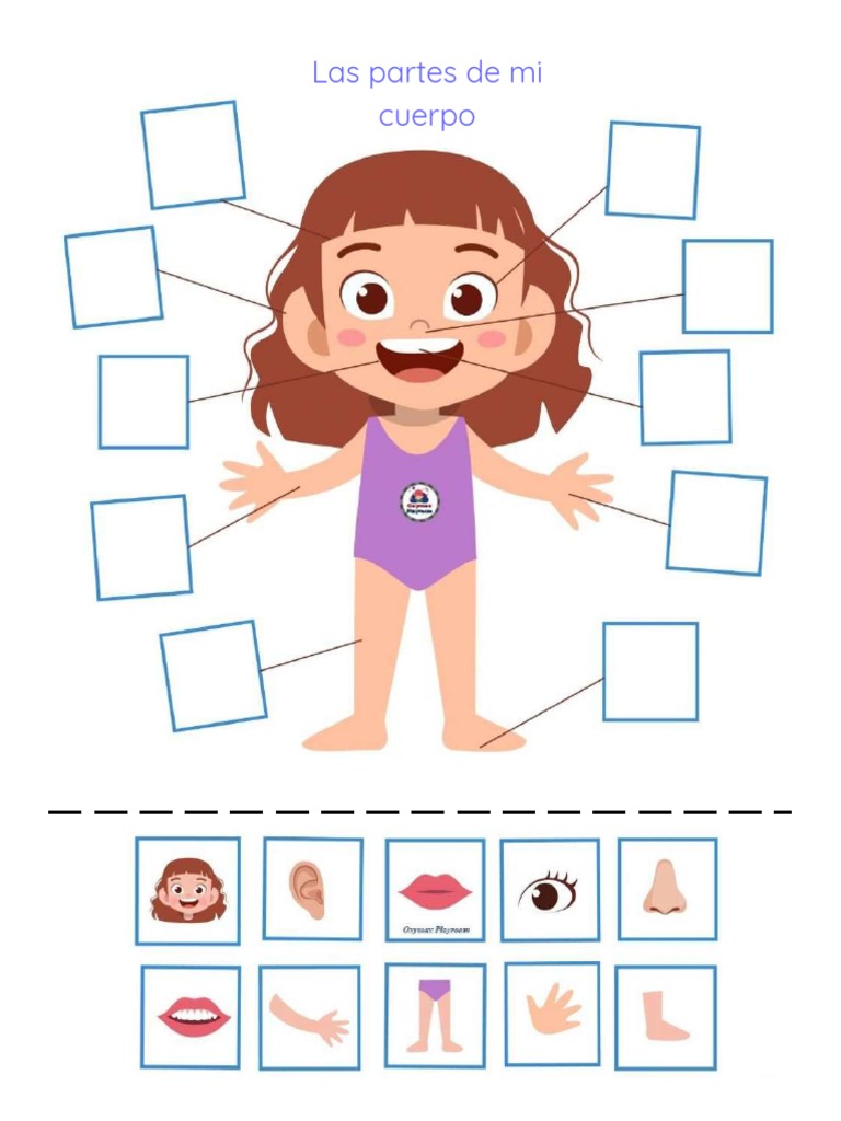 Guía. Las Partes de Mi Cuerpo para Niños | PDF