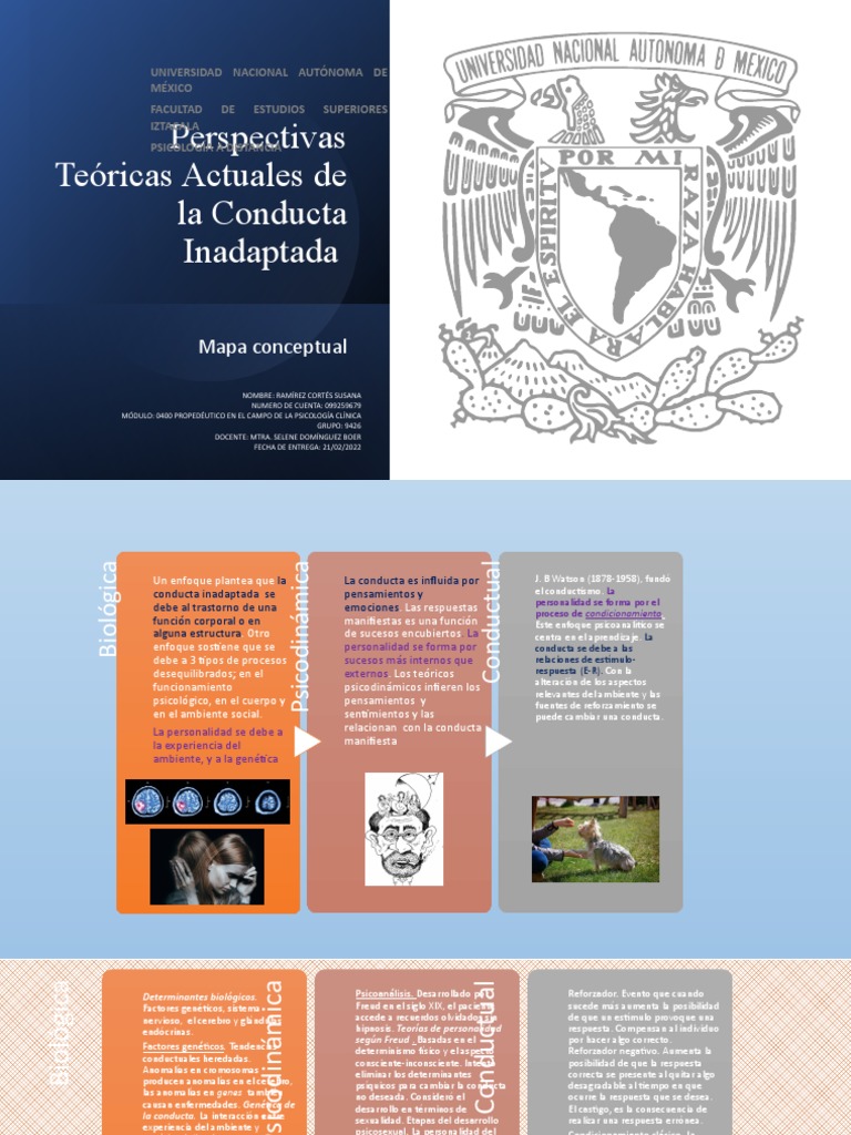 Perspectivas Teóricas Actuales de La Conducta Inadaptada | PDF
