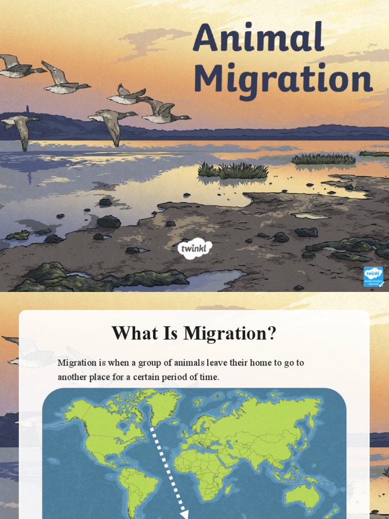 Understanding Animal Migration | PDF