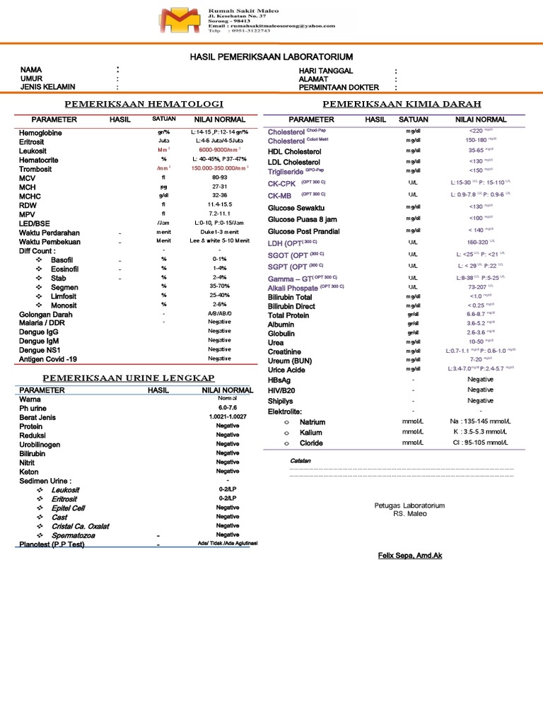 Contoh Hasil Pemeriksaan Darah Lengkap Kimia Sarah Dan Urine Rs. Maelo | PDF | Biokimia | Kimia