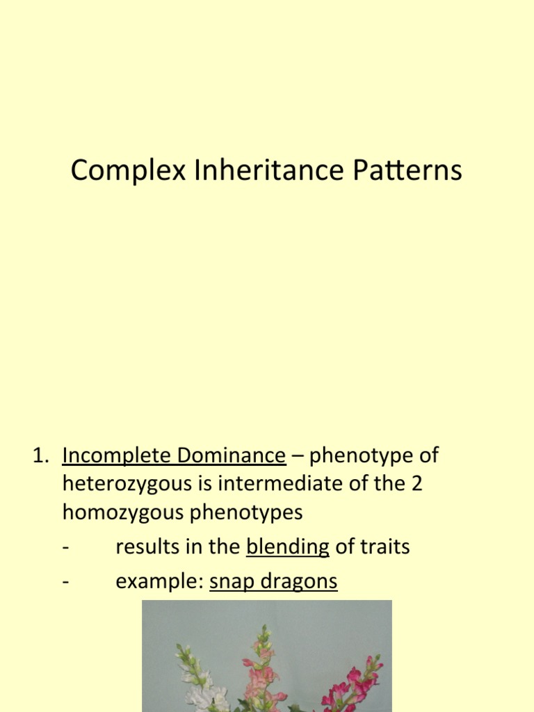 Complex Inheritance Patterns | PDF | Dominance (Genetics) | Zygosity