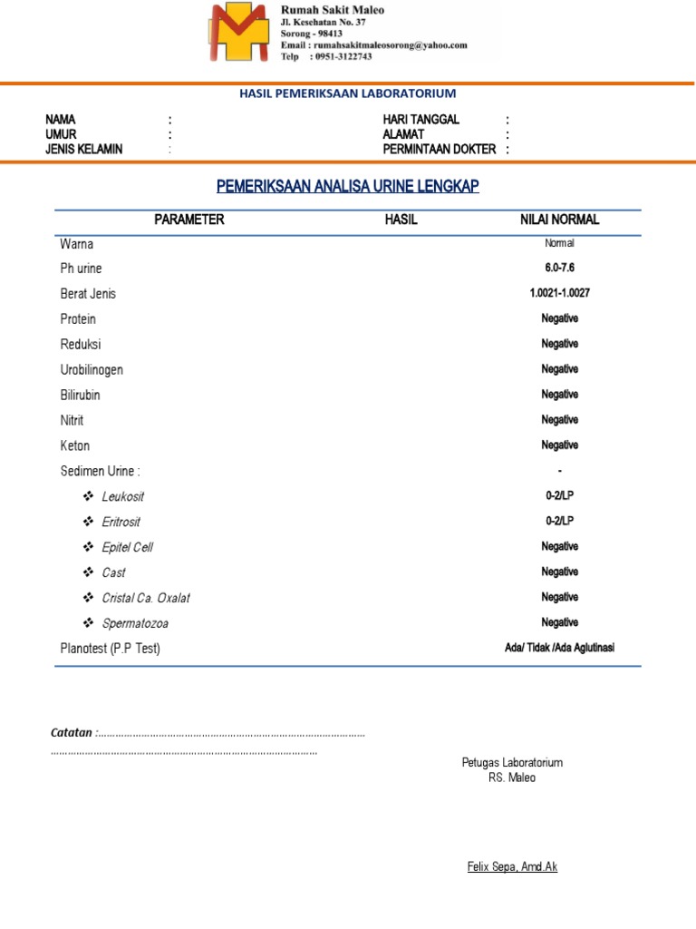 Pemeriksaan Urine Lengkap | PDF