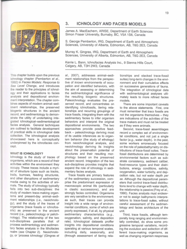 3-Ichnology and Facies Models | PDF