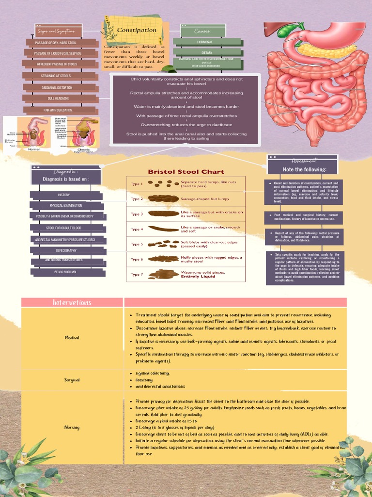 Constipation | PDF | Constipation | Human Feces