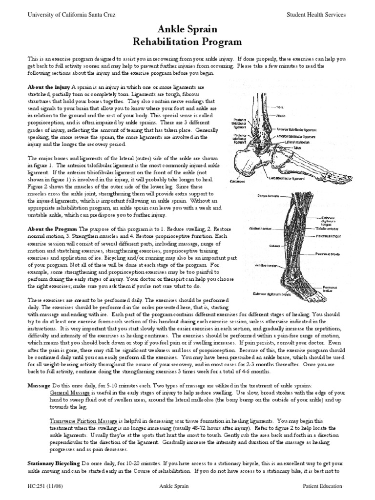 Ankle Sprain Rehabilitation Program | PDF | Ankle | Foot