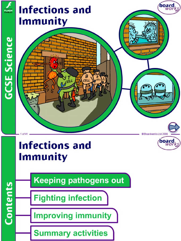 Silo - Tips - Boardworks Gcse Science Biology Infections and Immunity ...