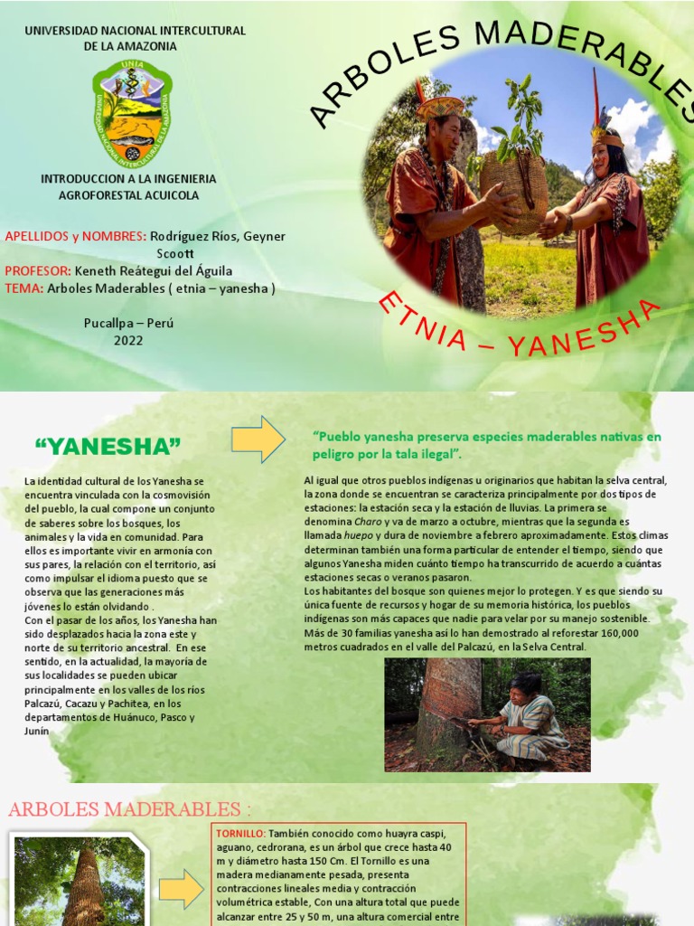 Arboles Maderables 2 | PDF