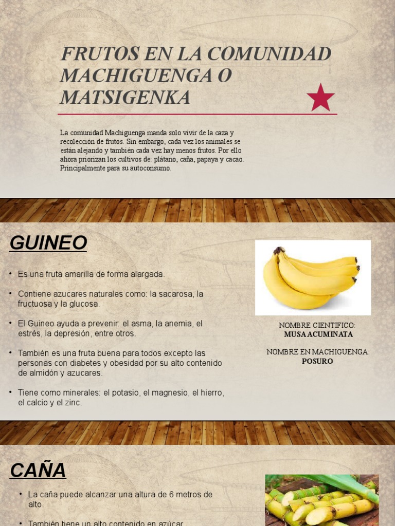 5 Etnia Machiguenga | PDF | Plátano | Carbohidratos