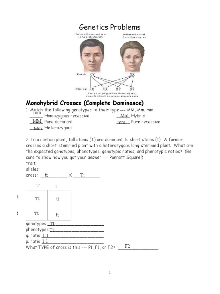 Genetics Practice Problems | PDF | Dominance (Genetics) | Genotype