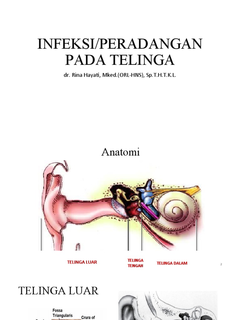 INFEKSI Telinga | PDF