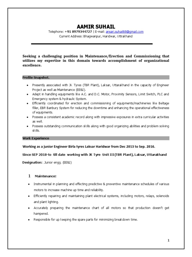 AAMIR SUHAIL Resume | PDF | Computing | Engineering