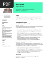 Dublin Resume Template Modern | PDF | Tourism | Travel Agency