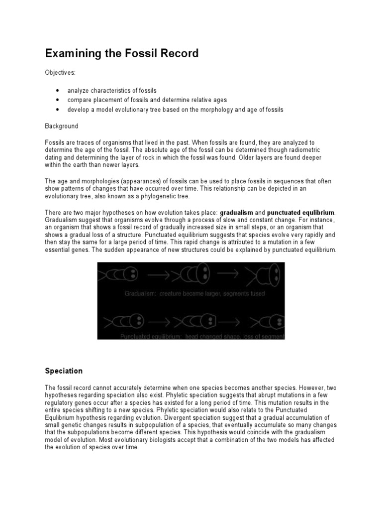 Examining The Fossil Record | PDF | Evolution | Species