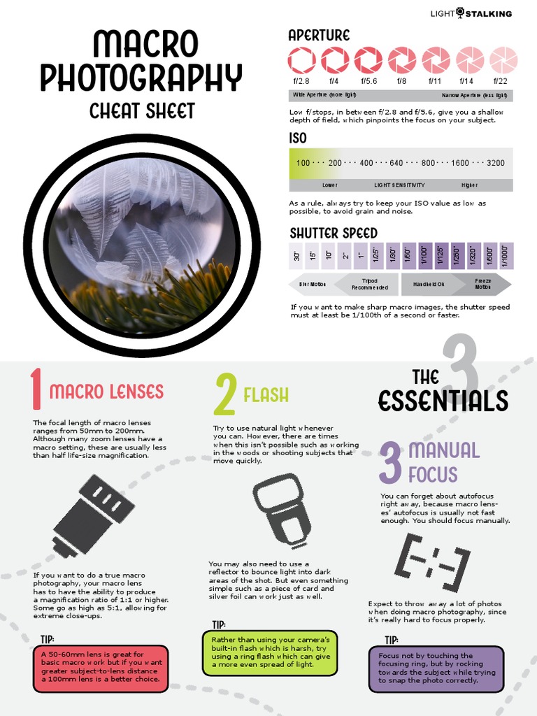 Macro Photography Cheat Sheet | Download Free PDF | Macro Photography ...