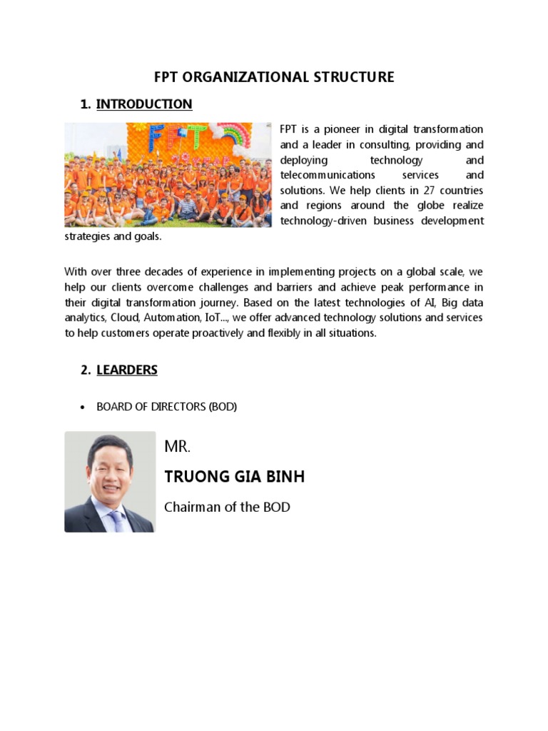 FPT Organizational Structure | PDF | Organizational Structure | Business