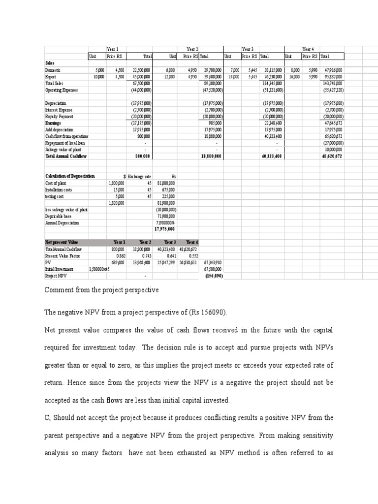 Comment From The Project Perspective | PDF | Net Present Value | Market ...