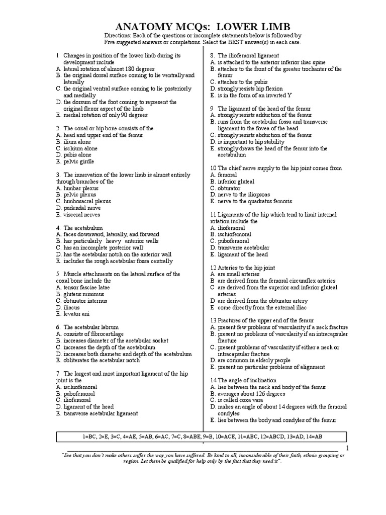 Lower Limb MCQ Final | PDF | Foot | Human Leg