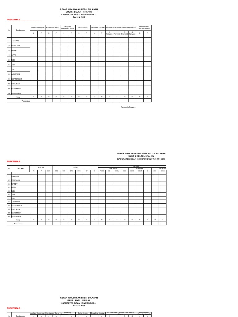 REKAPAN PELAYANAN KESEHATAN IBU DAN ANAK | PDF