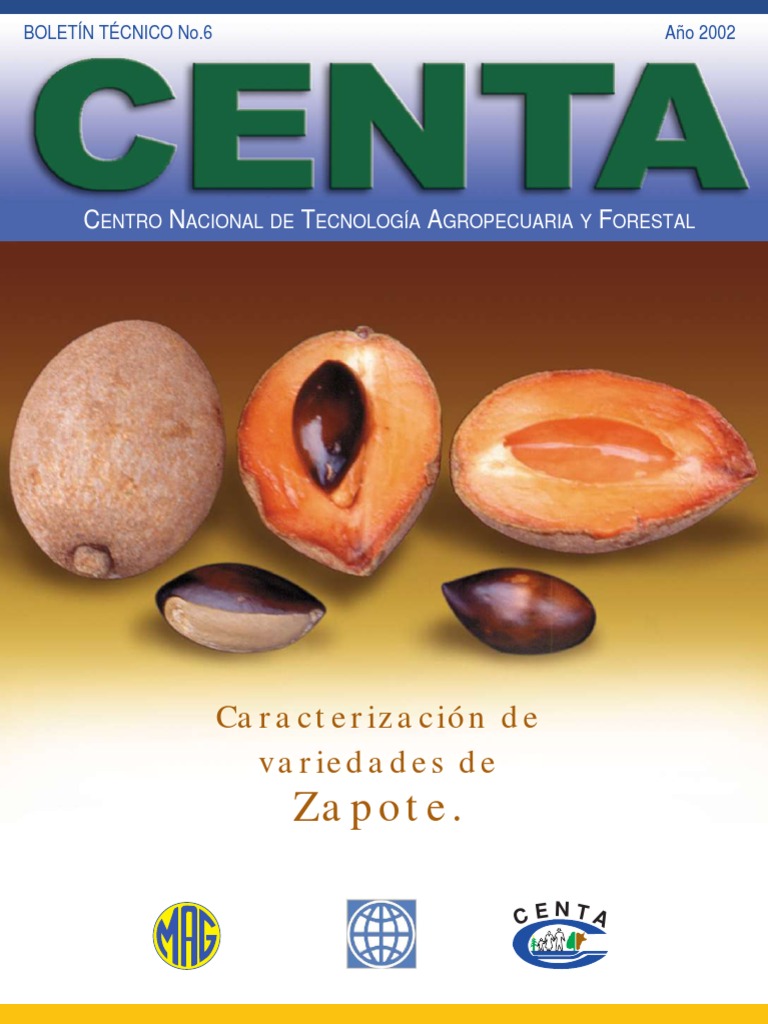 Guia Zapote | PDF | café | Fruta