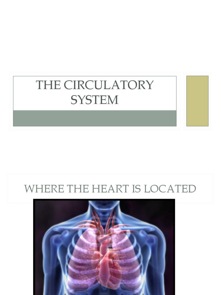 The Circulatory System - Lecture STEM | PDF | Heart | White Blood Cell