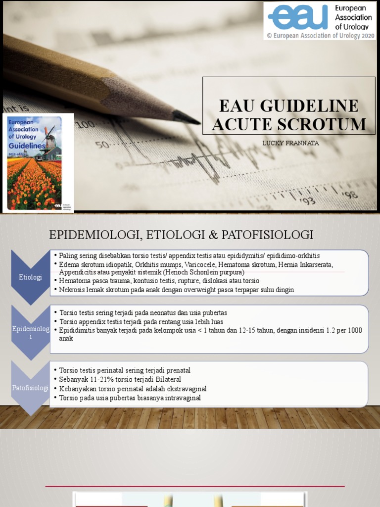EAU 2021 Acute Scrotum (LUQ) | PDF