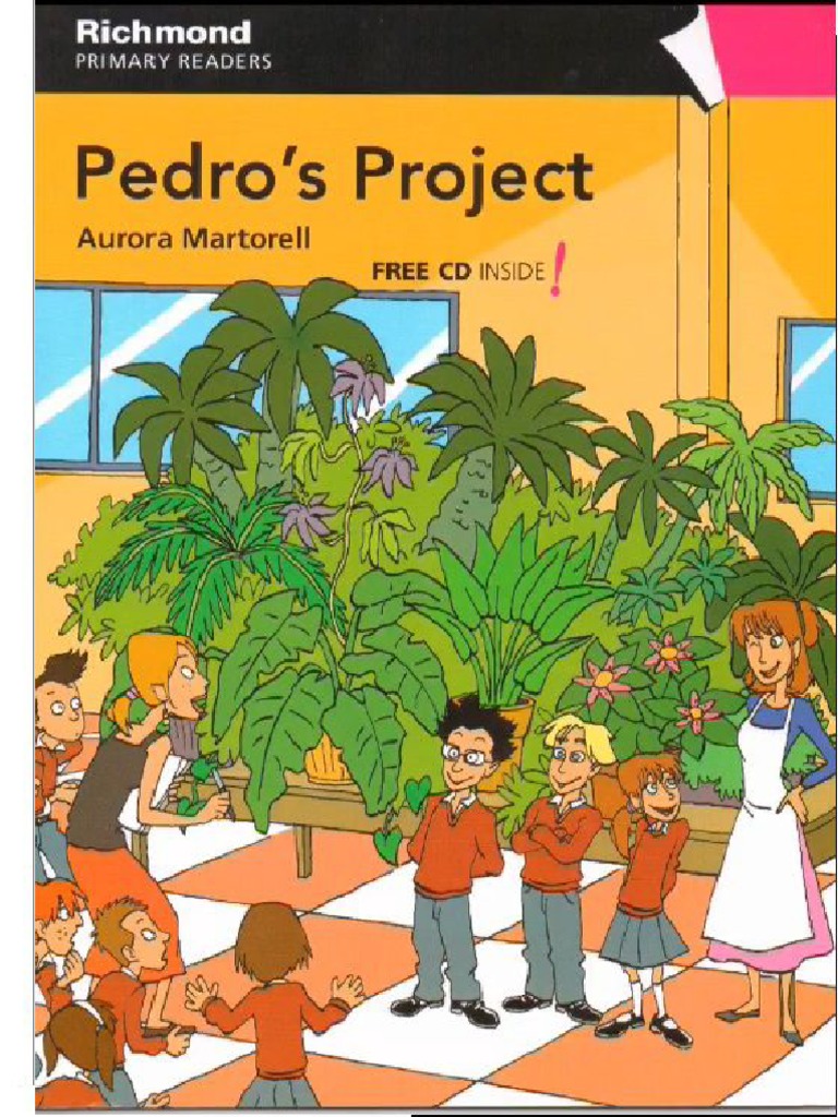 Pedros Project | PDF