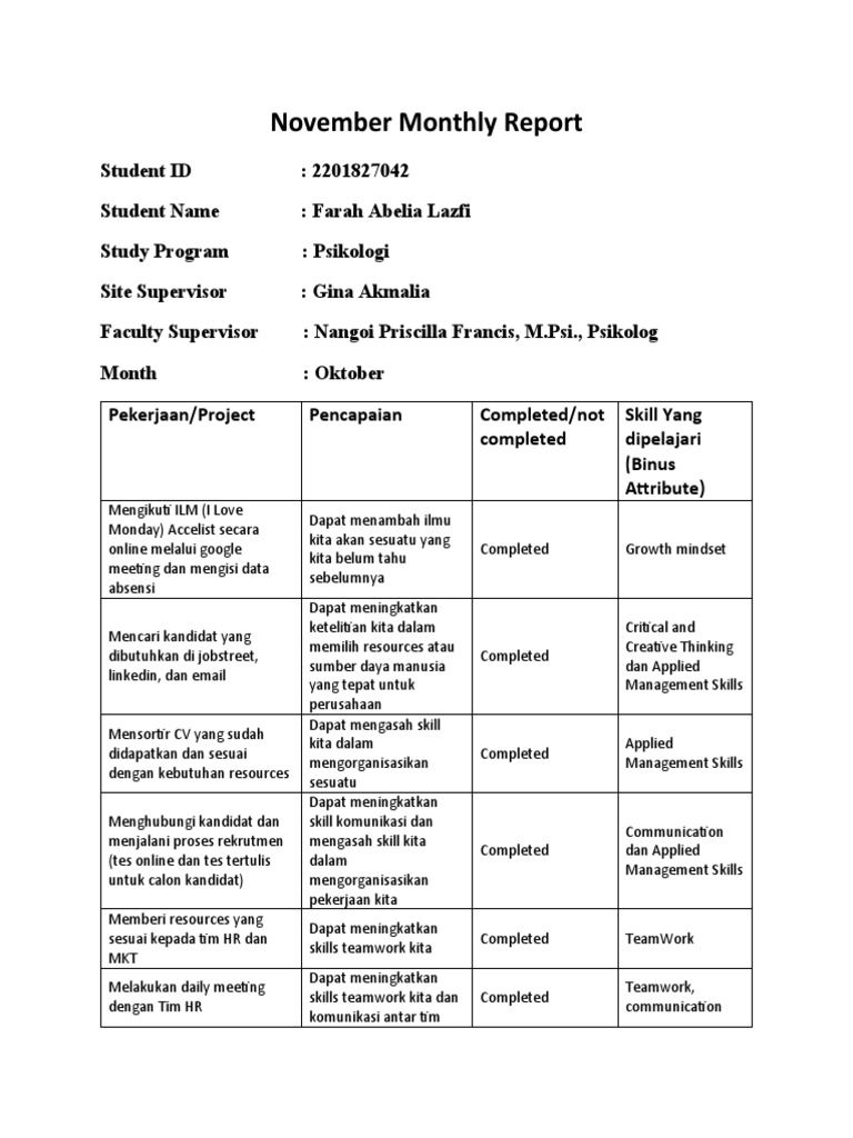 November Monthly Report | PDF